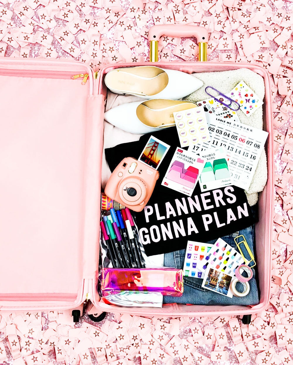 Pipsticks + Workman PlannerCon Giveaway!!